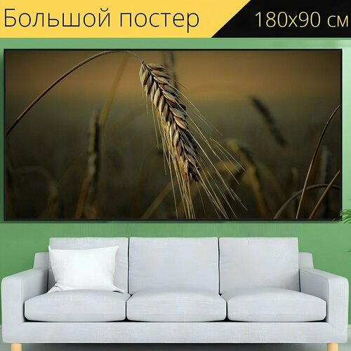 Большой постер "Ухо, зерновой, поле" 180 x 90 см. для интерьера