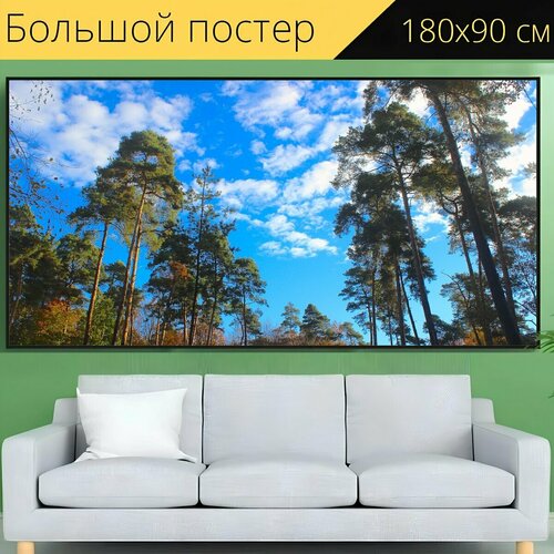 Большой постер "Лес, деревья, небеса" 180 x 90 см. для интерьера
