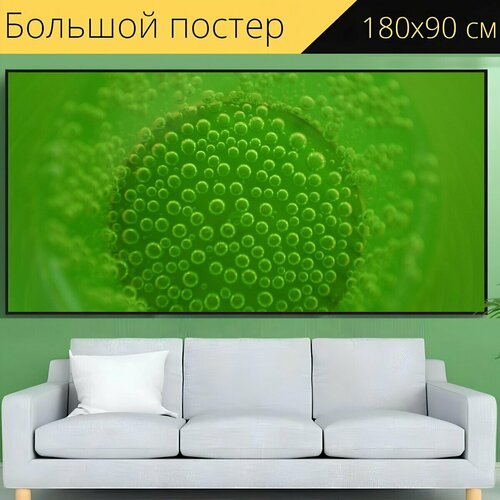 Большой постер "Зеленый, пузыри, макрос" 180 x 90 см. для интерьера