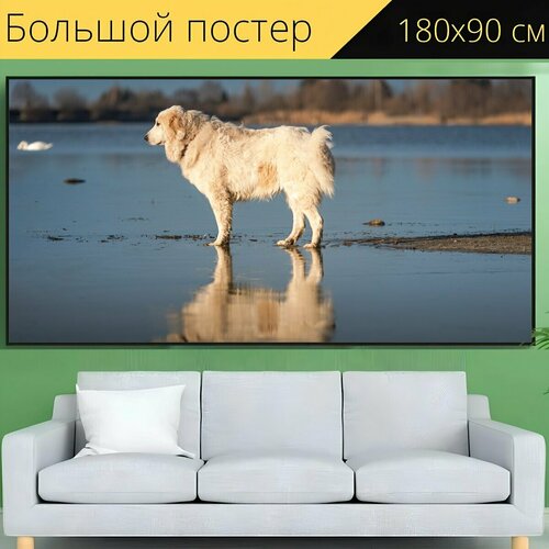 Большой постер "Собака, озеро, маджестик" 180 x 90 см. для интерьера