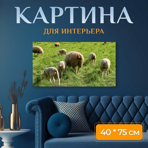 Картина на холсте "Стадо овец, ягнята, плотина" на подрамнике 75х40 см. для интерьера