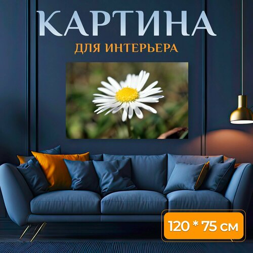 Картина на холсте "Маргаритка, цветок, луг" на подрамнике 120х75 см. для интерьера