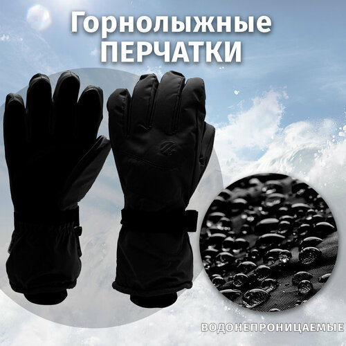 Перчатки  WHSROMA, размер L, черный