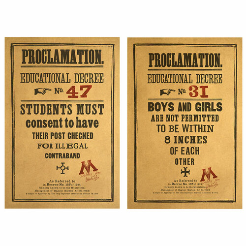 Набор из двух постеров №14 для вечеринки в стиле Гарри Поттер или тематической фотосессии