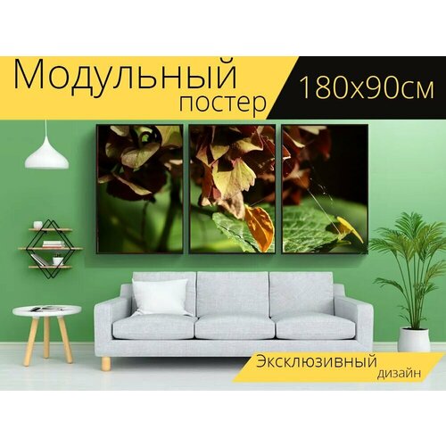 Модульный постер "Гортензия, цветок гортензии, сушеный" 180 x 90 см. для интерьера