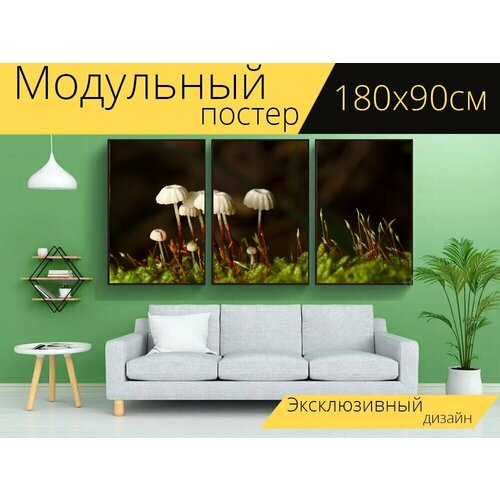 Модульный постер "Гриб, лес, мох" 180 x 90 см. для интерьера