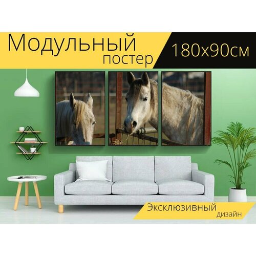 Модульный постер "Лошадь, лошади, езда на лошади" 180 x 90 см. для интерьера