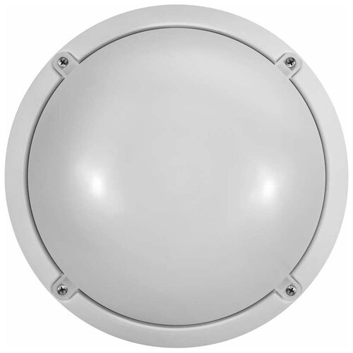 Настенно-потолочный светильник ОНЛАЙТ OBL-R1-12-6.5K-WH-IP65-LED, 12 Вт, кол-во ламп: 1 шт., 6500 К, цвет арматуры: белый, цвет плафона: белый