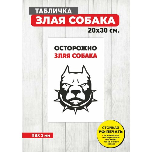 Табличка информационная на ПВХ Осторожно Злая собака, размер 20х30 см
