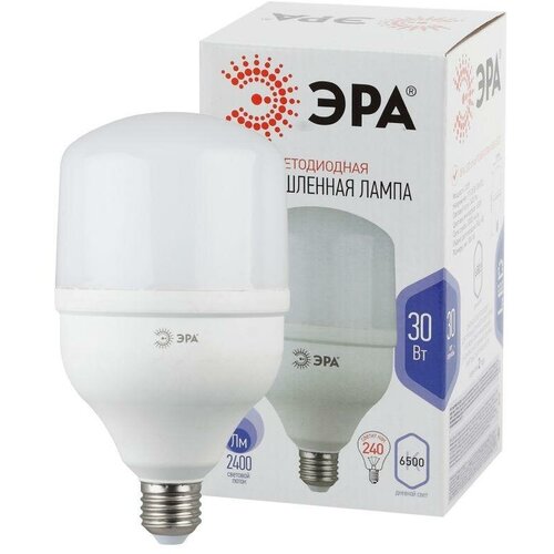 Лампа светодиодная высокомощная POWER 30W-6500-E27 2400лм ЭРА Б0027004 (2шт.)