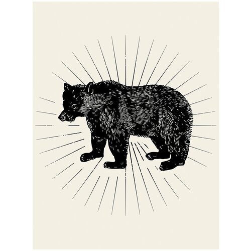 Постер / Плакат / Картина Большой медведь 50х70 см в подарочном тубусе