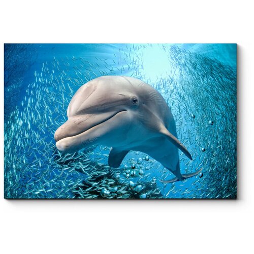 Модульная картина Улыбка дельфина 140x93
