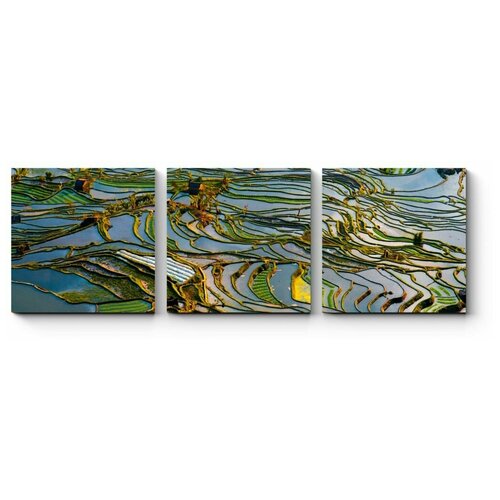 Модульная картина Сезон паводков на полях Вьетнама 60x20