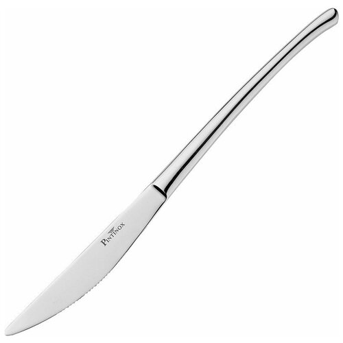 Нож столовый Pintinox Снейк 230/115х10мм, нерж. сталь