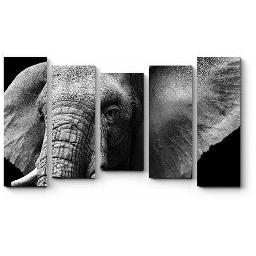 Модульная картина Портрет слона140x84