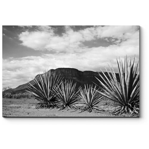 Модульная картина Мексиканский пейзаж 130x87