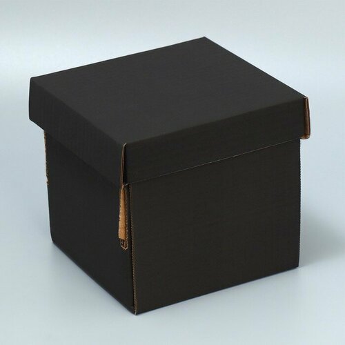 Складная коробка Чeрная, 166 х 155 х 153 см 5 шт