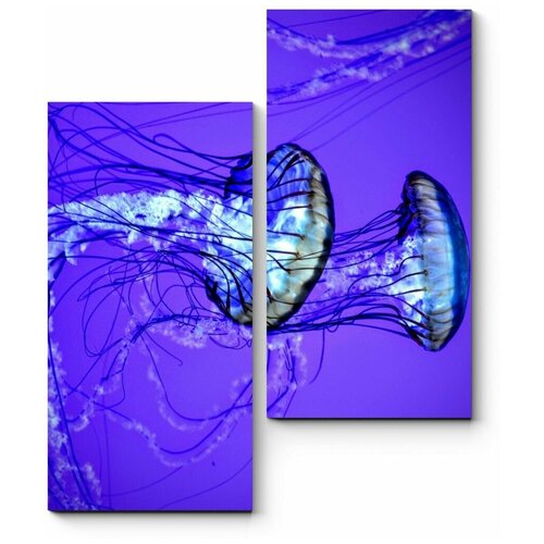 Модульная картина Пара изящных медуз110x138