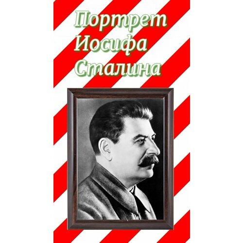 Портрет Иосифа Сталина, 30х40 см. в раме