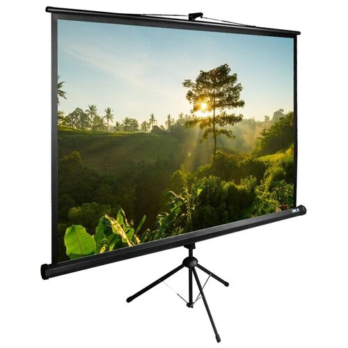 Рулонный матовый белый экран cactus TriExpert CS-PSTE-200х200-BK, 110", черный