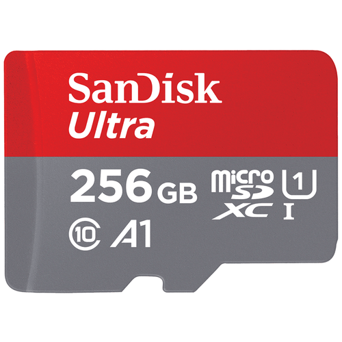 Карта памяти SanDisk microSDXC 256 ГБ Class 10, A1, R 120 МБ/с