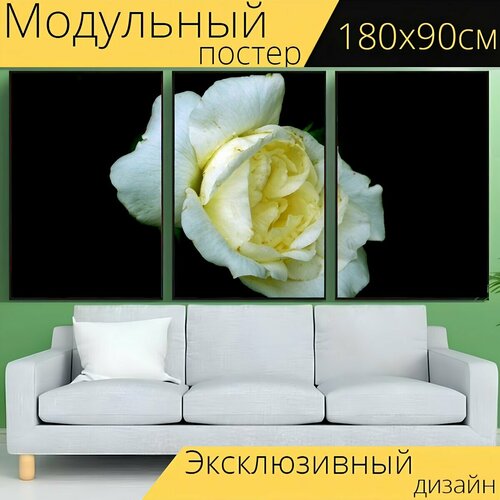 Модульный постер "Роуз, цветок, салон красоты" 180 x 90 см. для интерьера