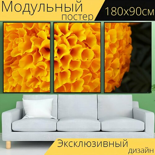 Модульный постер "Цветок, календулы, апельсин" 180 x 90 см. для интерьера