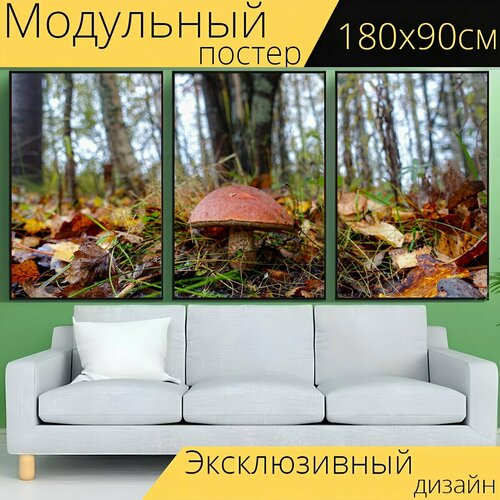 Модульный постер "Падение, гриб, лес" 180 x 90 см. для интерьера