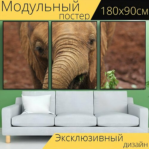 Модульный постер "Кения, слон, сафари" 180 x 90 см. для интерьера
