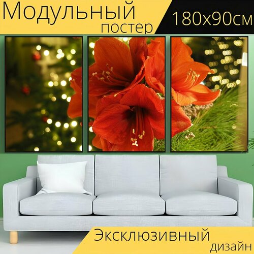 Модульный постер "Рождество, амариллис, цветок" 180 x 90 см. для интерьера