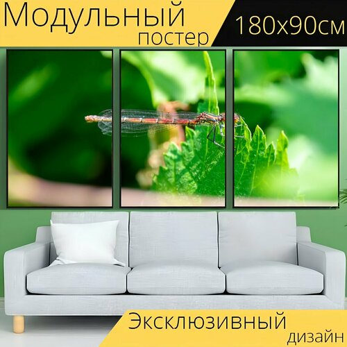 Модульный постер "Стрекоза, насекомое, насекомые" 180 x 90 см. для интерьера