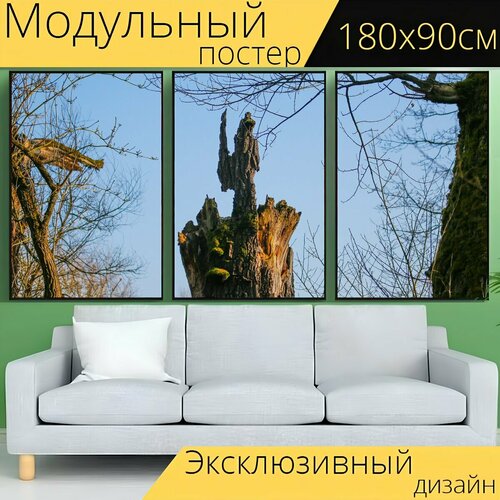 Модульный постер "Мох, древесина, старое дерево" 180 x 90 см. для интерьера
