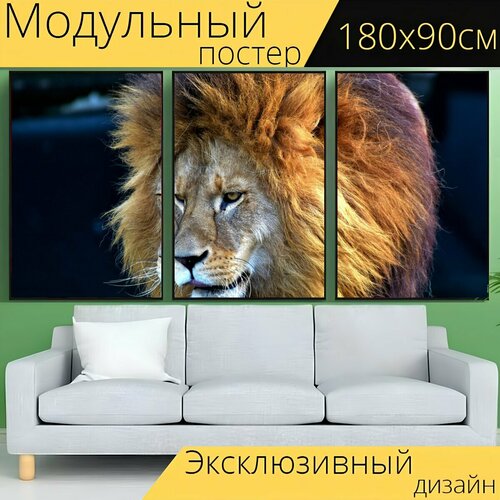 Модульный постер "Лев, большой кот, хищник" 180 x 90 см. для интерьера
