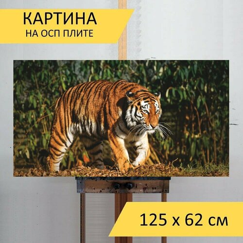 Картина на ОСП 125х62 см. "Тигр, хищник, шерсть" горизонтальная, для интерьера, с креплениями