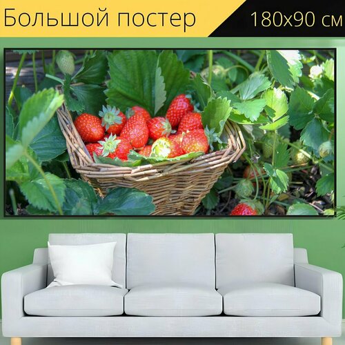 Большой постер "Клубника, сад, фрукты" 180 x 90 см. для интерьера