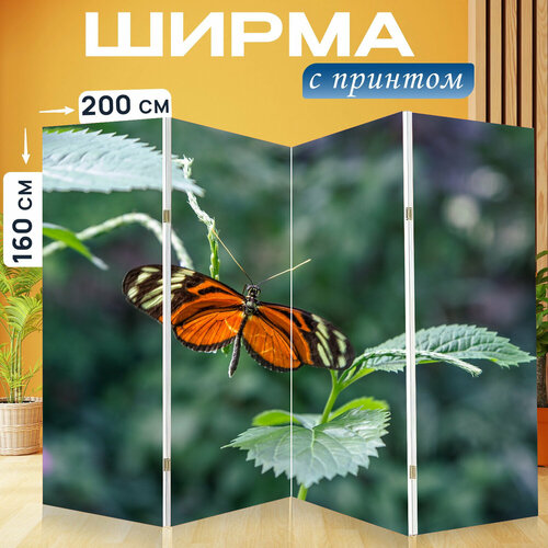 Ширма перегородка с принтом "Природа, бабочка, насекомые" на холсте - 200x160 см. для зонирования, раскладная
