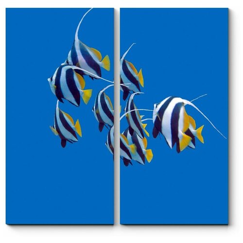 Модульная картина Тропические рыбы 130x130
