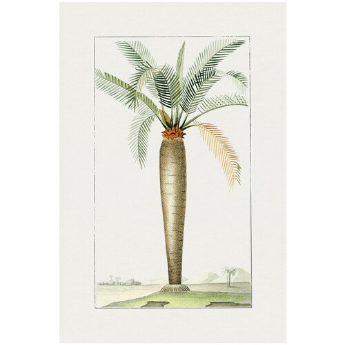 Постер / Плакат / Картина Пальмы - Пальма с желтой веткой 60х90 см в подарочном тубусе