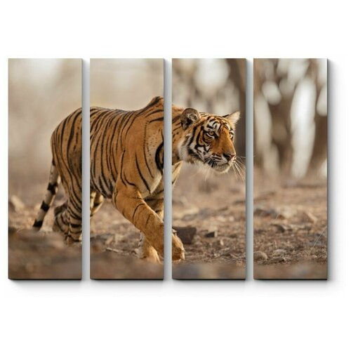 Модульная картина Тигр на охоте100x75