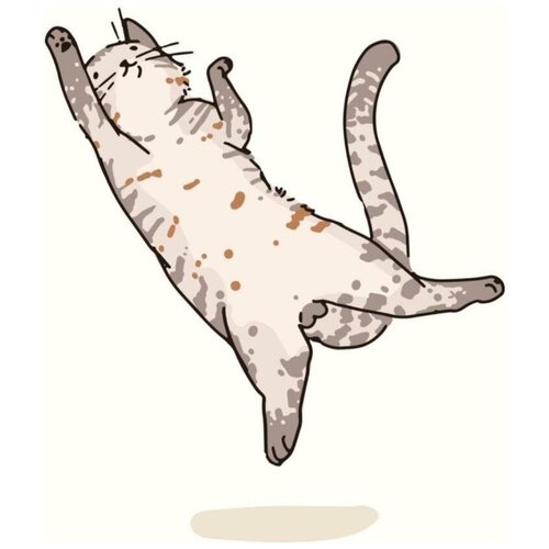 Постер / Плакат / Картина Кошки - Котик с белым животиком 50х70 см в подарочном тубусе