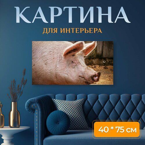 Картина на холсте "Свинья, счастливые свиньи, святилище" на подрамнике 75х40 см. для интерьера
