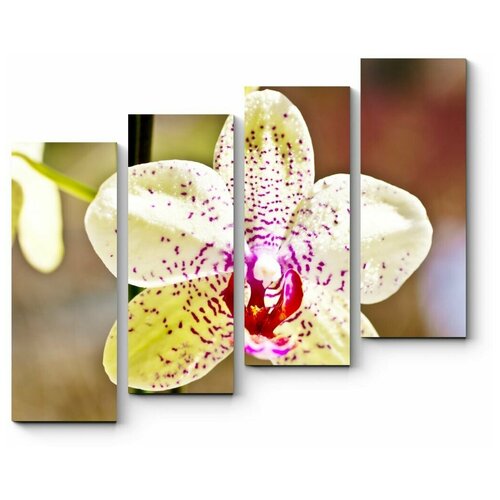 Модульная картина Тигровая орхидея 110x95