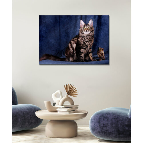 Картина - кошка, мейн-кун, домашняя кошка, ласковая кошка, кот (275) 60х80
