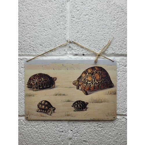 Черепахи постер 20 на 30 см, шнур-подвес в подарок
