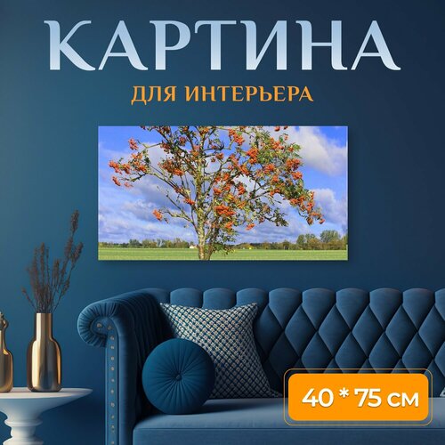 Картина на холсте "Рябина, красный, фрукты" на подрамнике 75х40 см. для интерьера