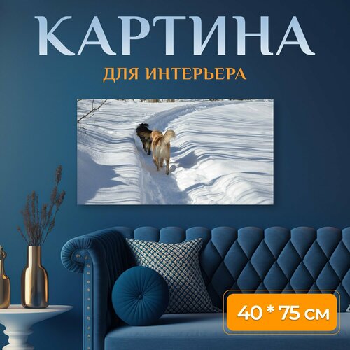Картина на холсте "Собака, зима, собака в снегу" на подрамнике 75х40 см. для интерьера