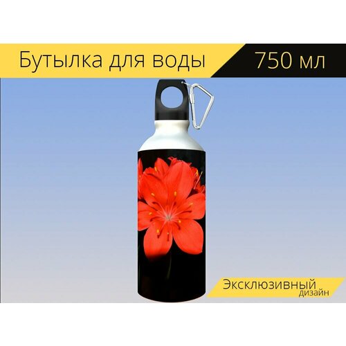 Бутылка фляга для воды "Цветок, красный, крупным планом" 750 мл. с карабином и принтом