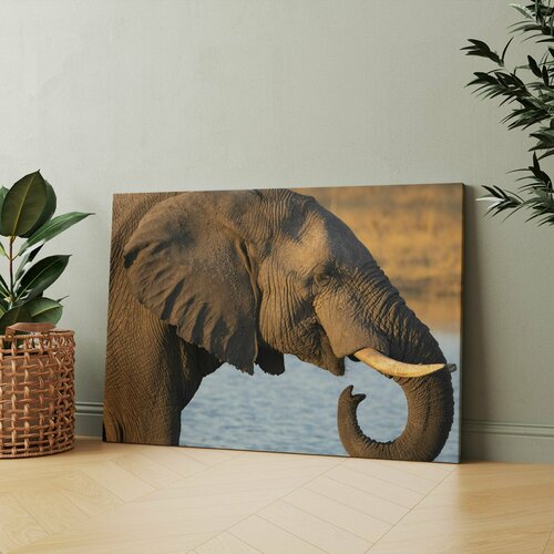Картина на холсте (африканский слон большой бивни саванный) 80x100 см/для интерьера/в комнату/на стену/в подарок