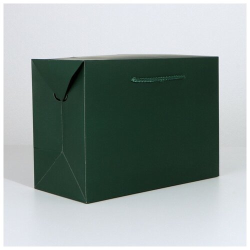 Дарите Счастье Пакет — коробка «Изумрудный», 28 × 20 × 13 см