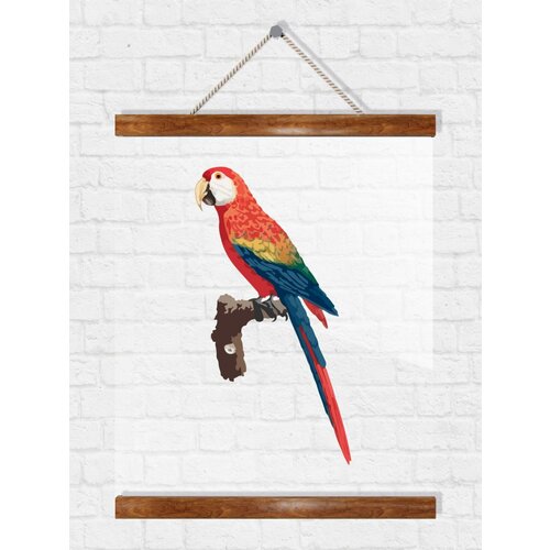 Постер / Плакат / Картина Прозрачный постер - Нарядный попугай 40x50